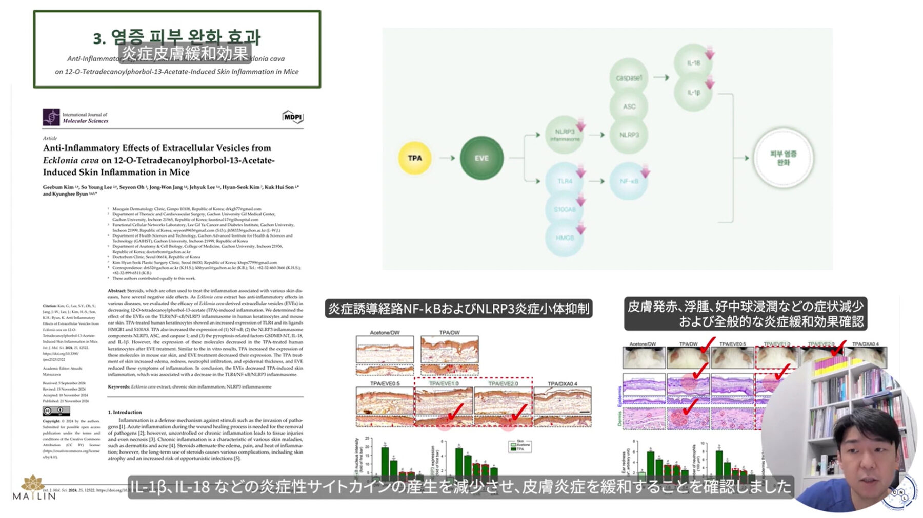 Basement Membrane Reinforcement with SEA PLANT-Derived Exosomes, A ...