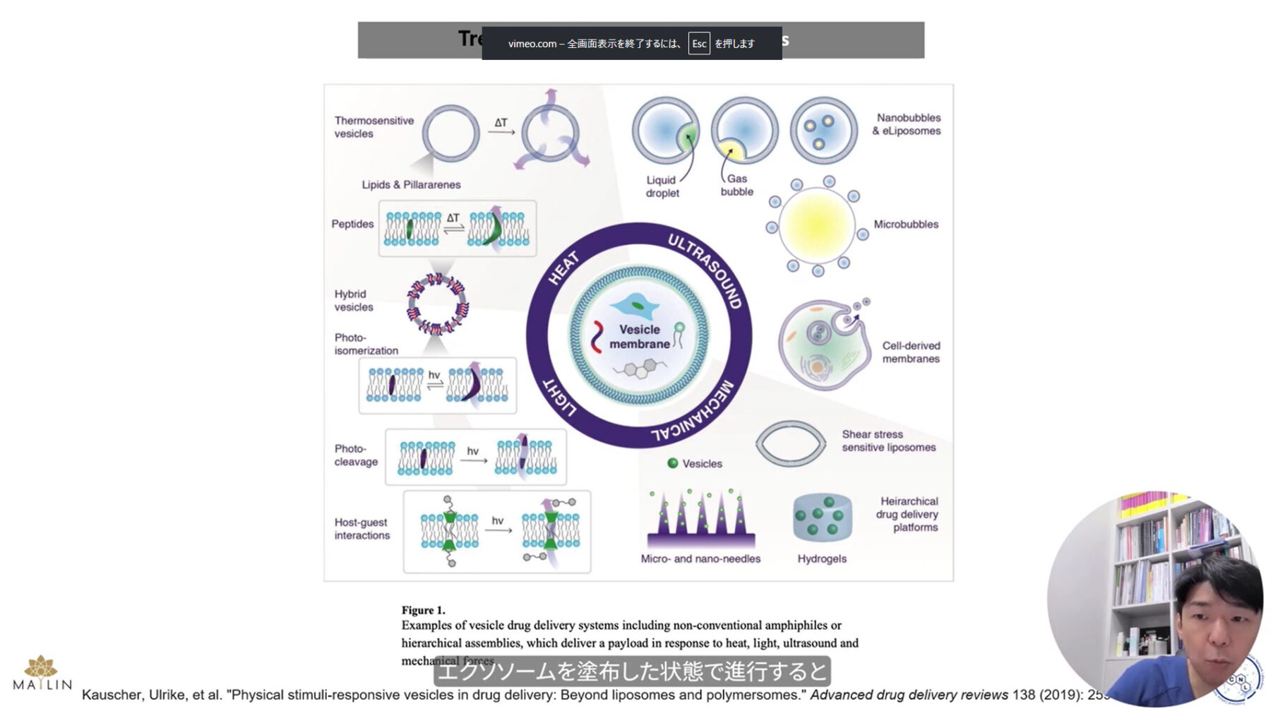 Basement Membrane Reinforcement with SEA PLANT-Derived Exosomes, A ...
